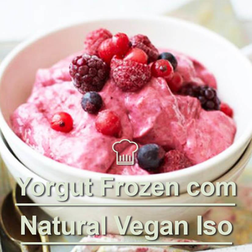 FROZEN IOGURTE COM NATURAL VEGAN ISO | Adaptogen Science
